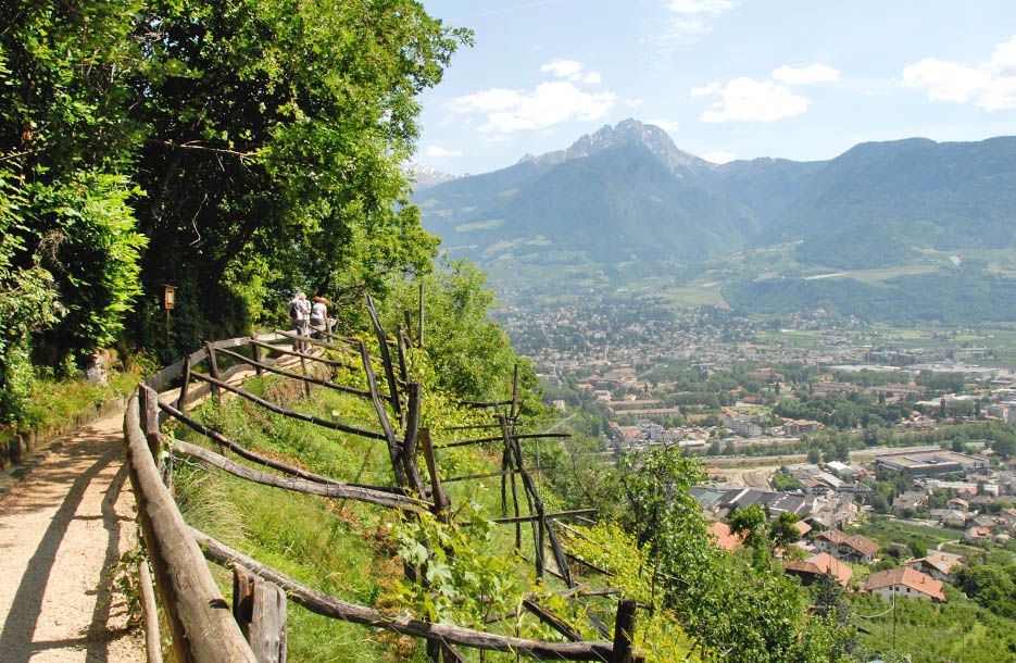 Waalwege in Südtirol